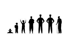 Navigating Life Transitions: How to Identify and Seek Support | Therapy ...