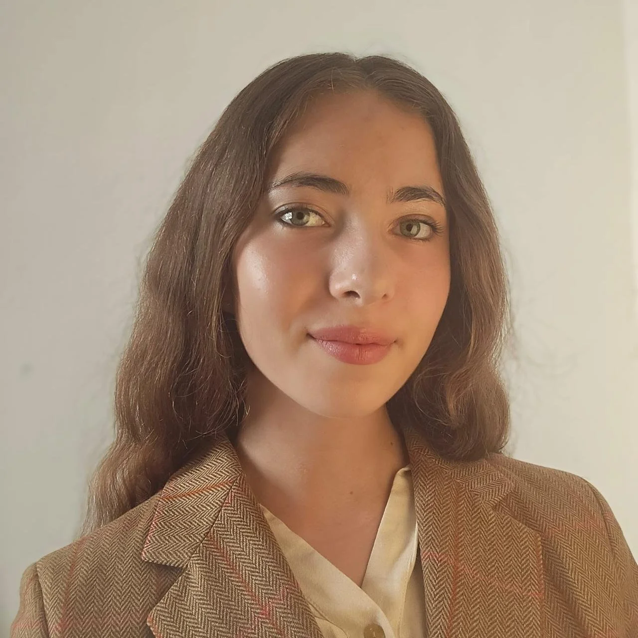 Secretariat — LIMUN Foundation