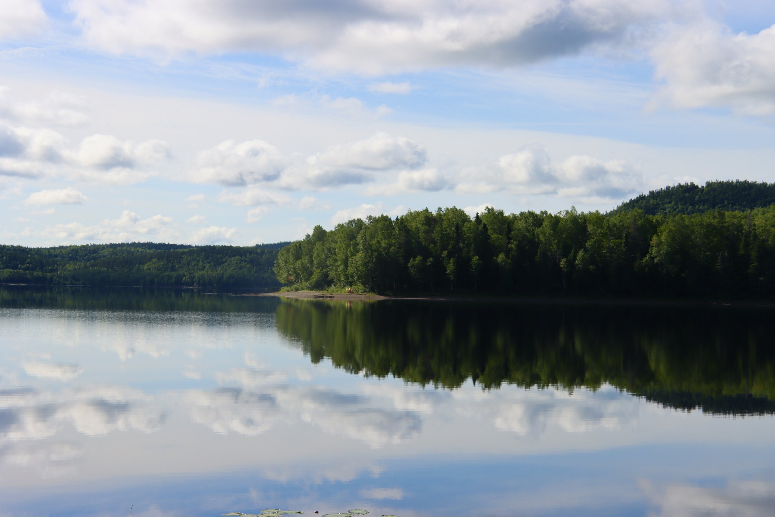Sea Serpents and Lake Monsters of Newfoundland — Product of Newfoundland