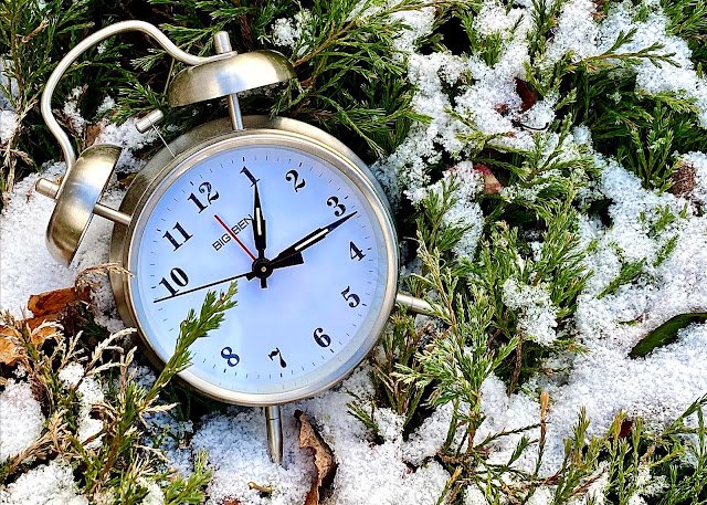 5 Facts About The Newfoundland Time Zone — Product of Newfoundland