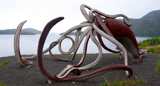 5 Big Facts about Newfoundland’s Giant Squid — Product of Newfoundland