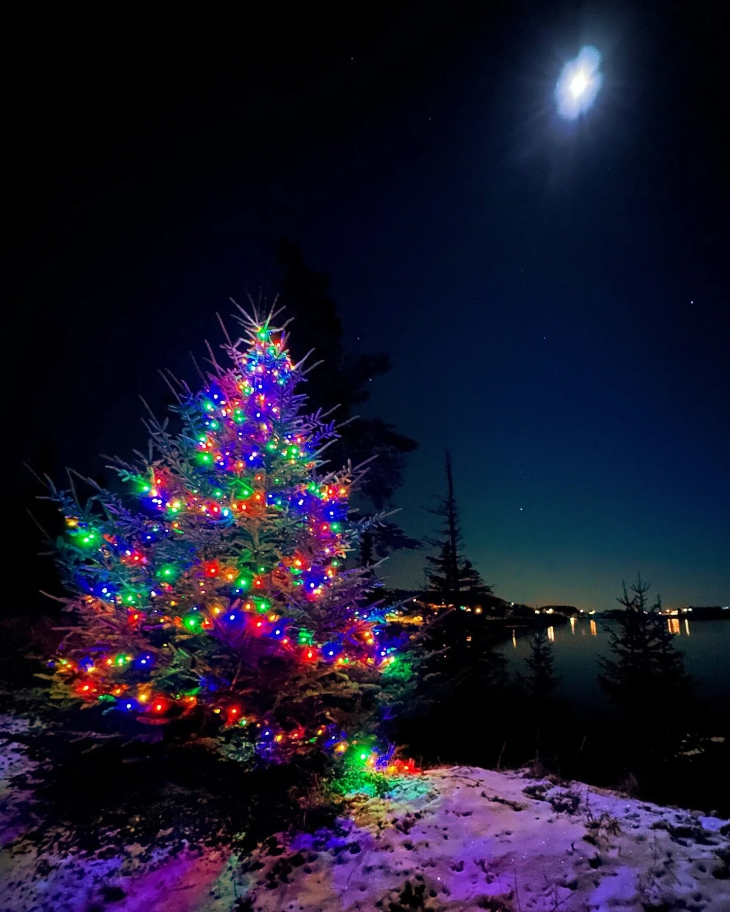 Bakeapples: The Origin Story — Product of Newfoundland