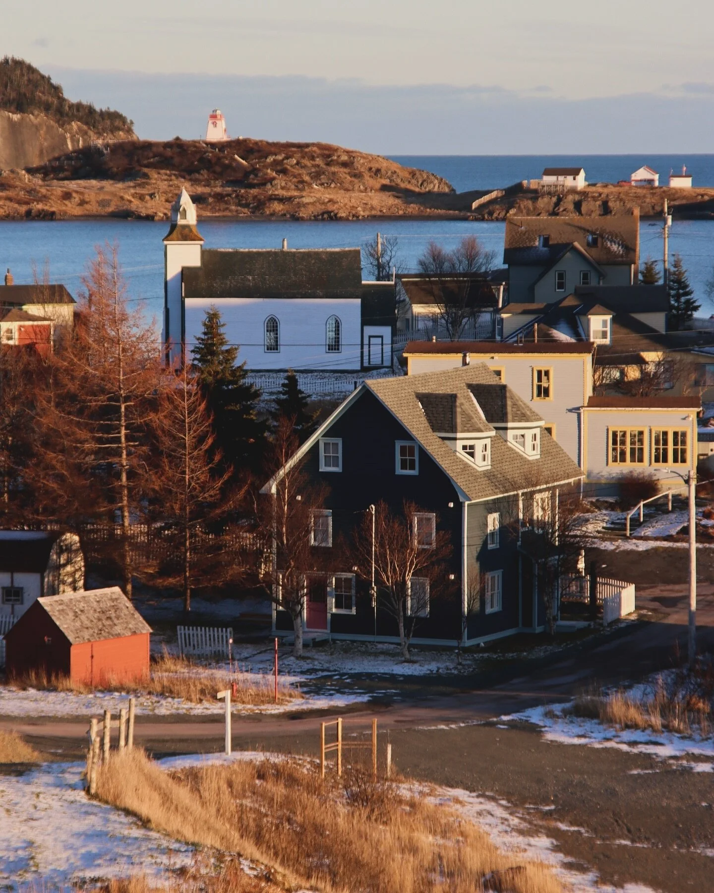 Bakeapples: The Origin Story — Product of Newfoundland