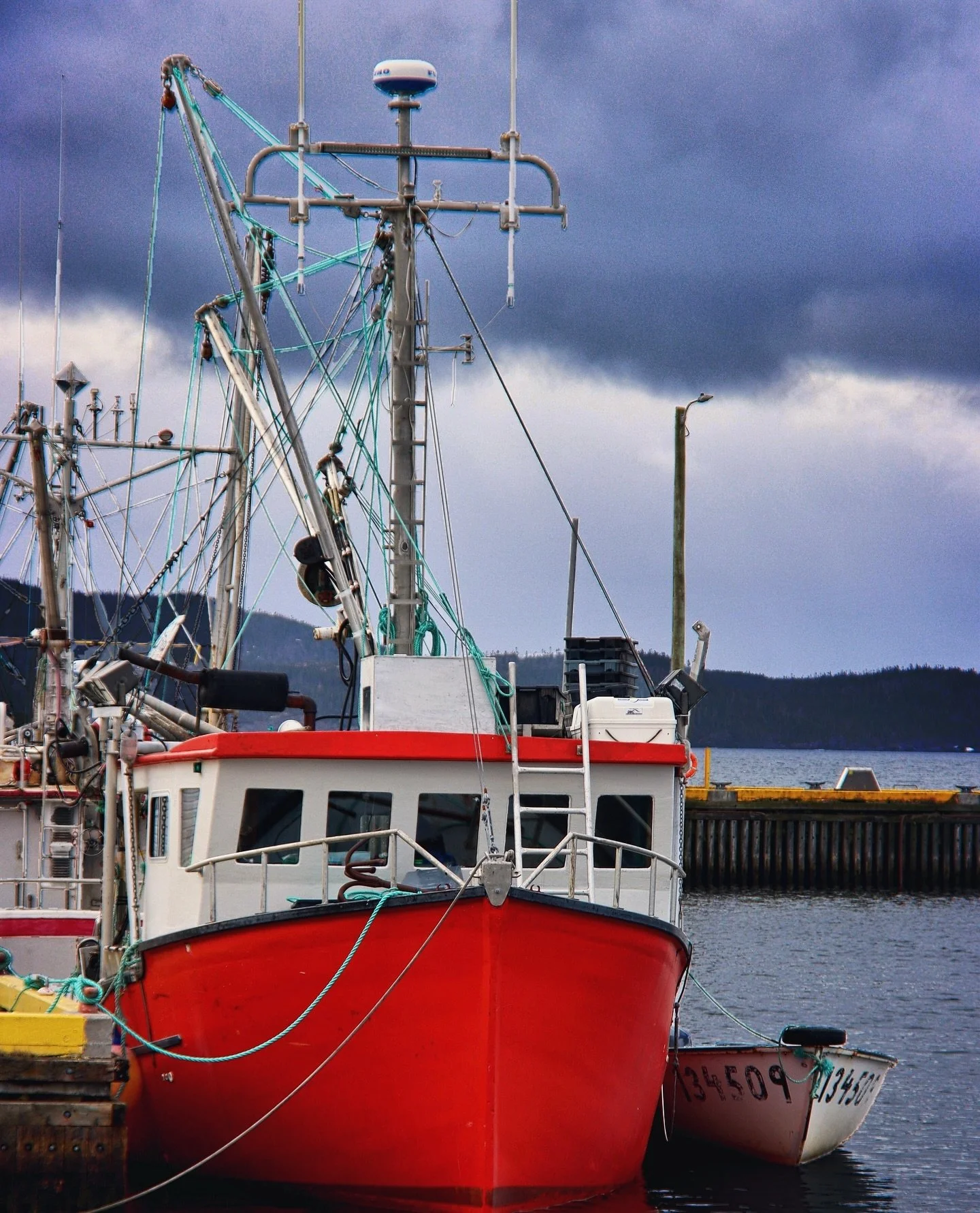 What The Heck Is Sheila’s Brush? — Product of Newfoundland