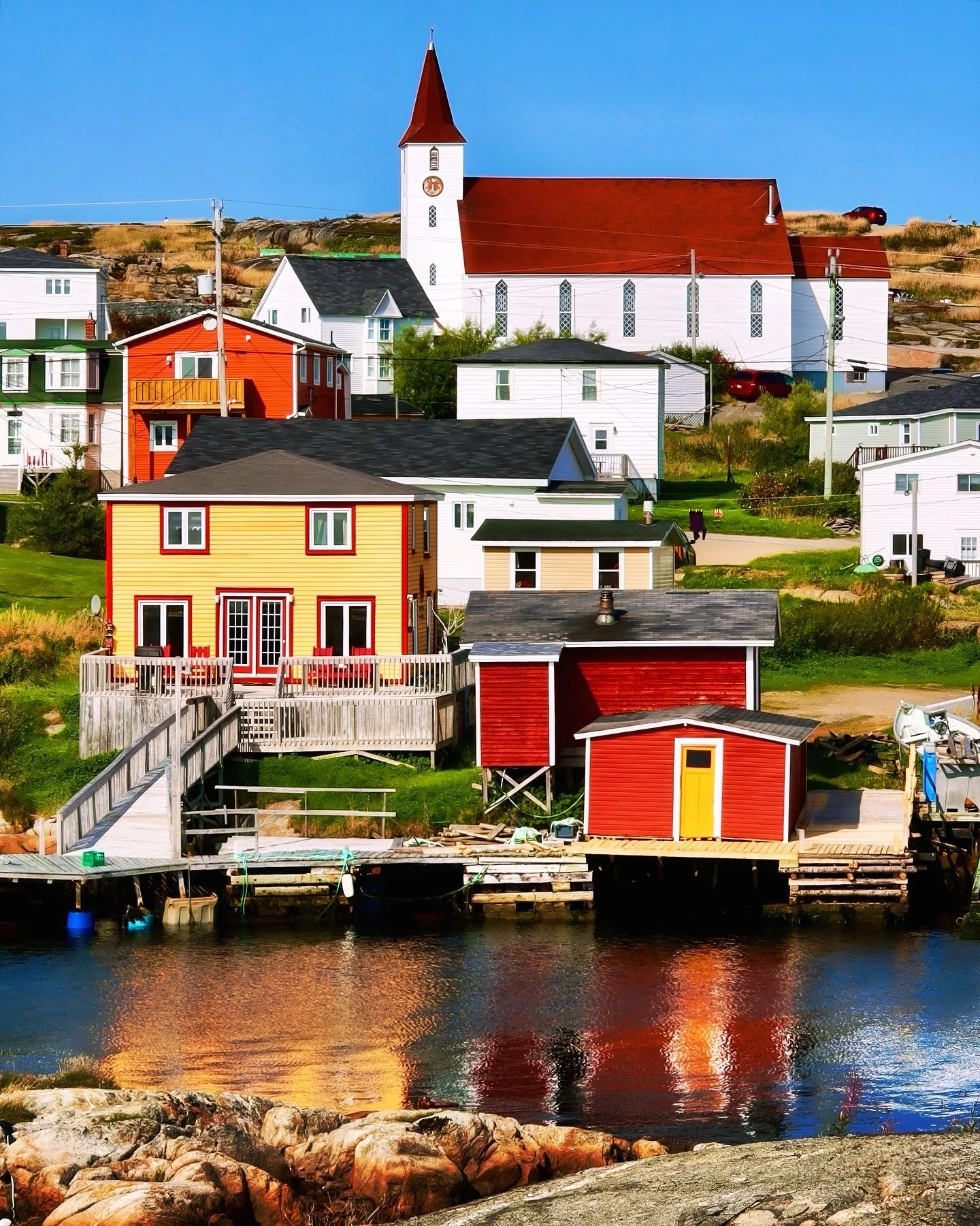 Bakeapples: The Origin Story — Product of Newfoundland