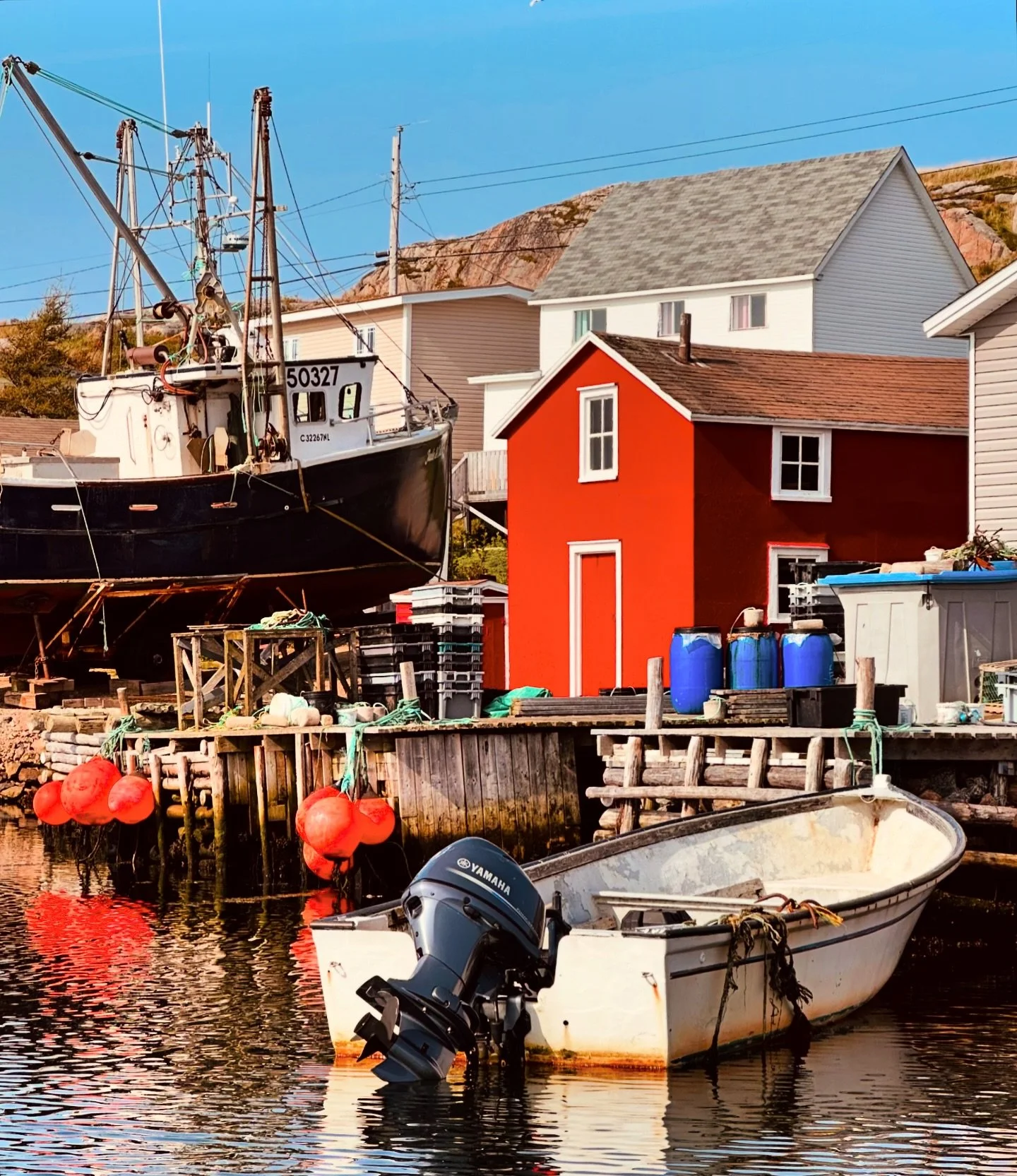 The Kid and The Squid — Product of Newfoundland
