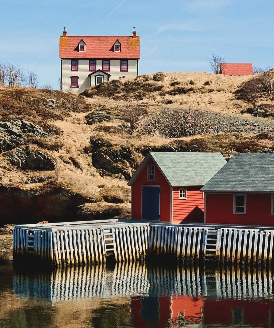 Bakeapples: The Origin Story — Product of Newfoundland