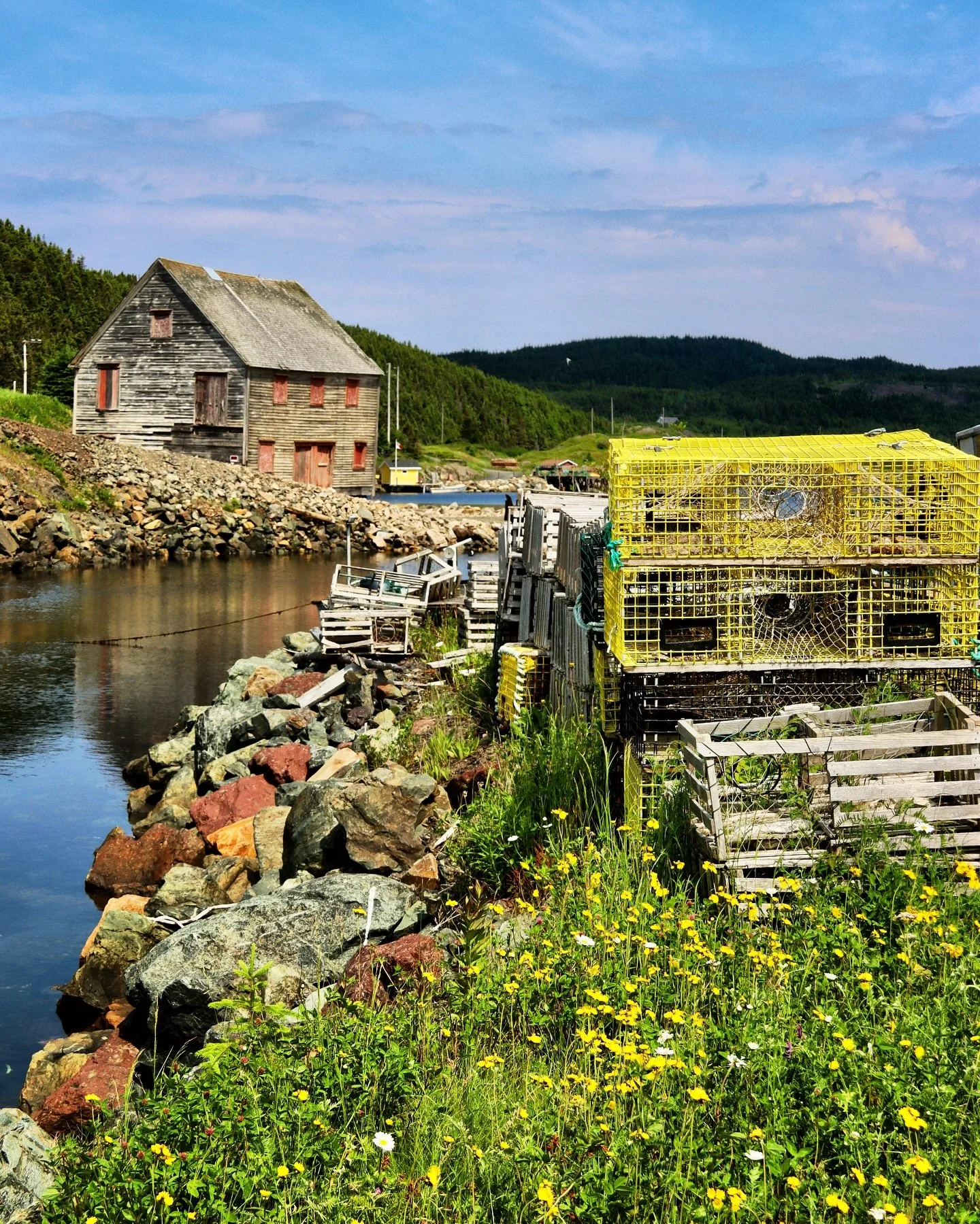 Something’s Gonna Come For Me: Youngtree and the Blooms — Product of ...