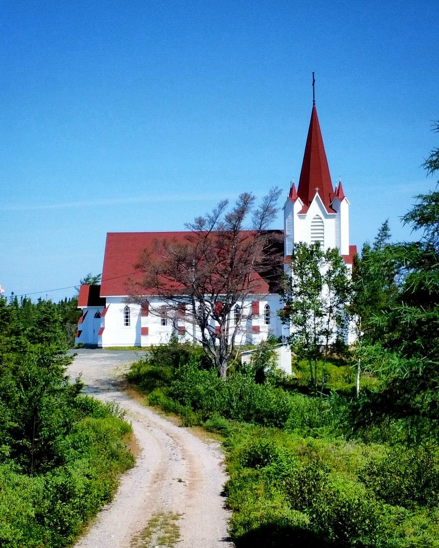 Death at the Barn Dance: The K of C Fire — Product of Newfoundland