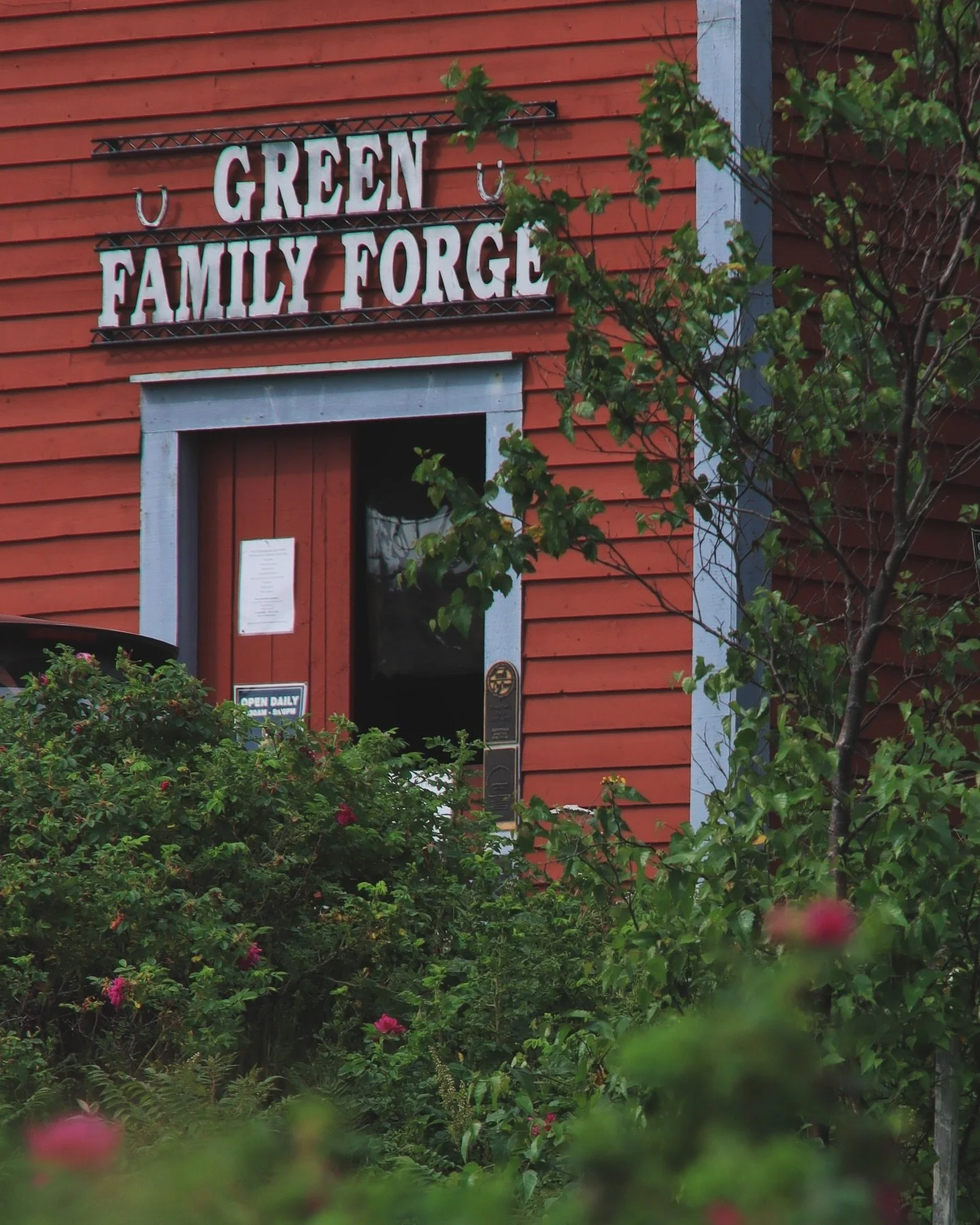 The Blimp That Blew Away — Product of Newfoundland