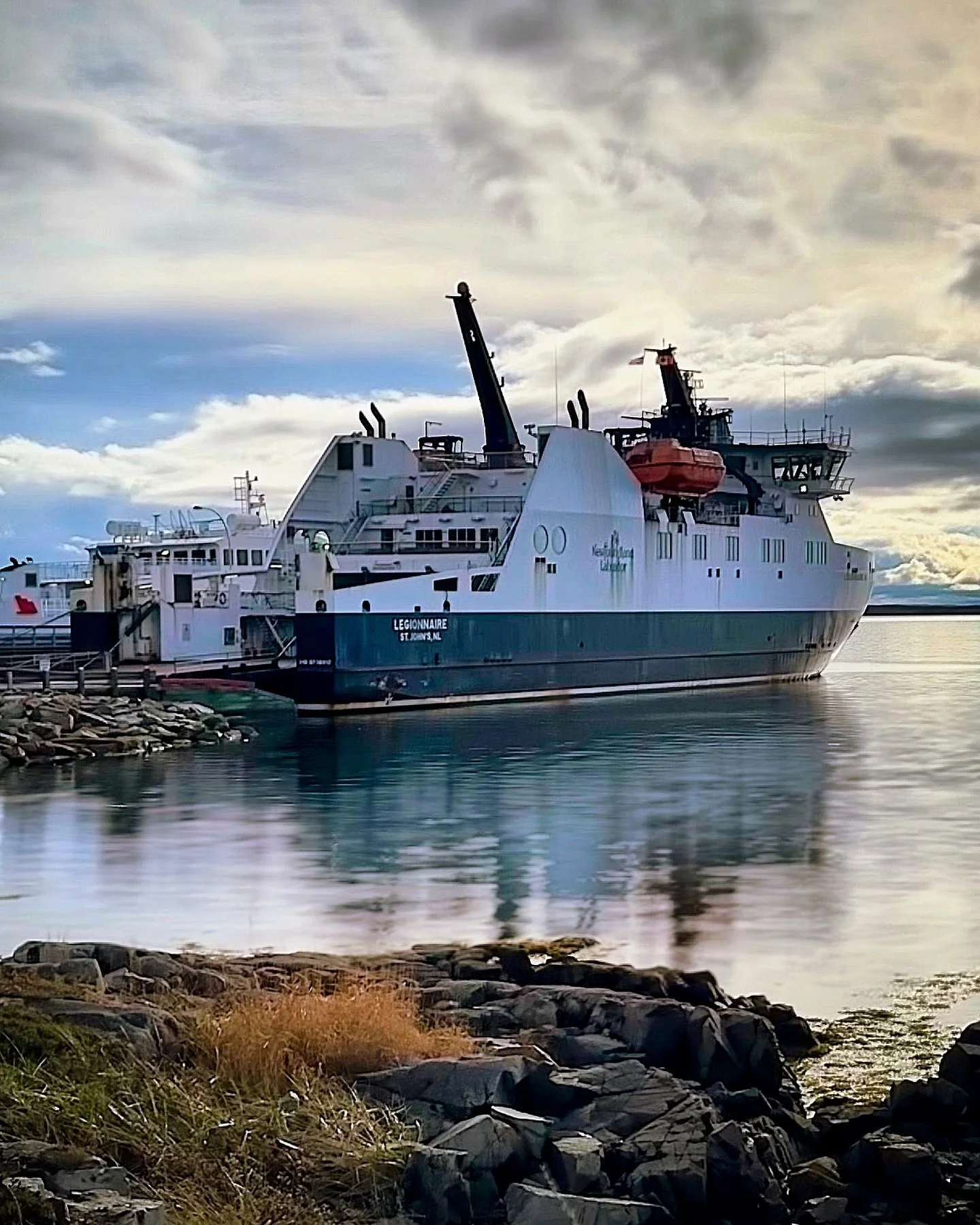 Bakeapples: The Origin Story — Product of Newfoundland
