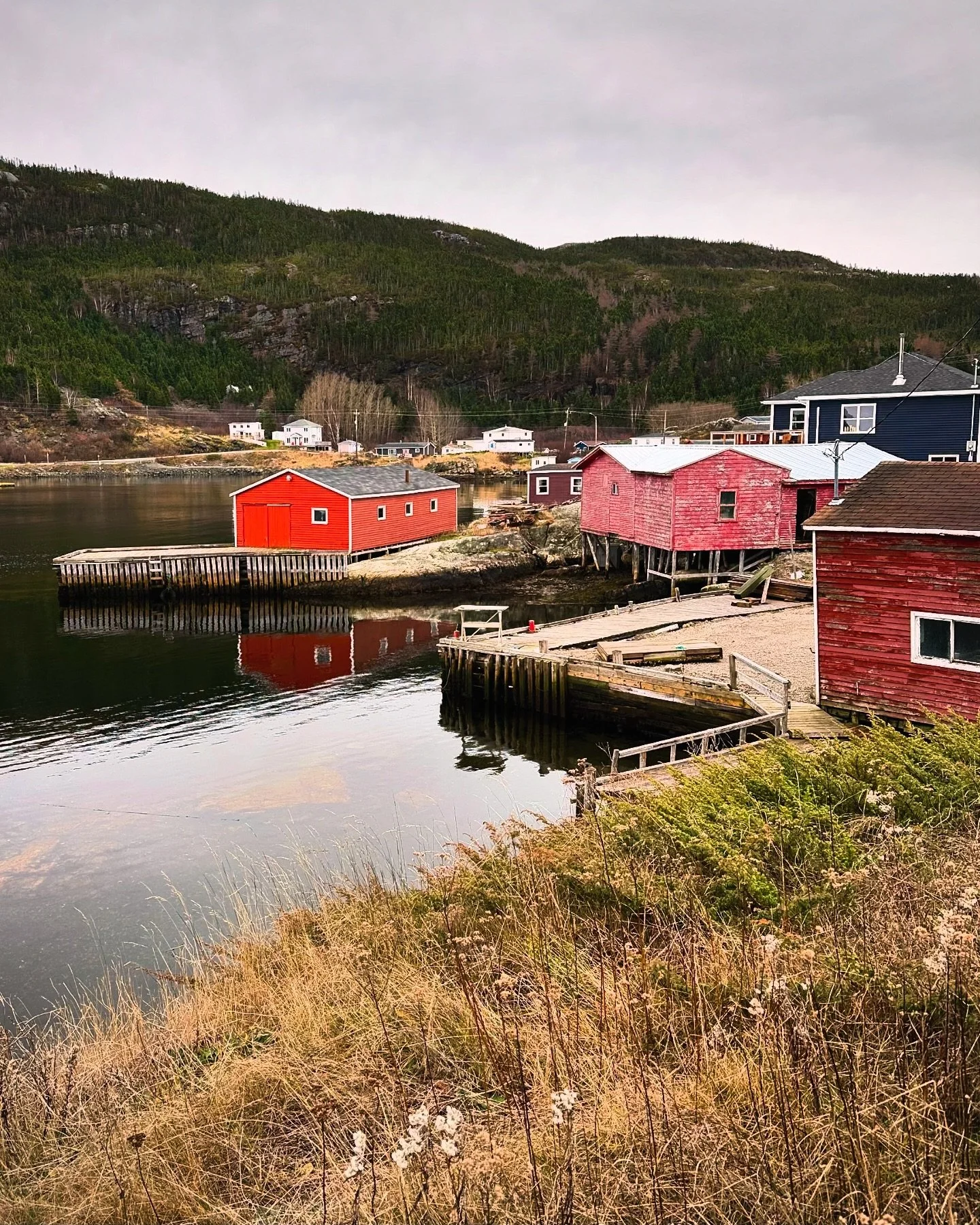 5 Facts About The Newfoundland Time Zone — Product of Newfoundland