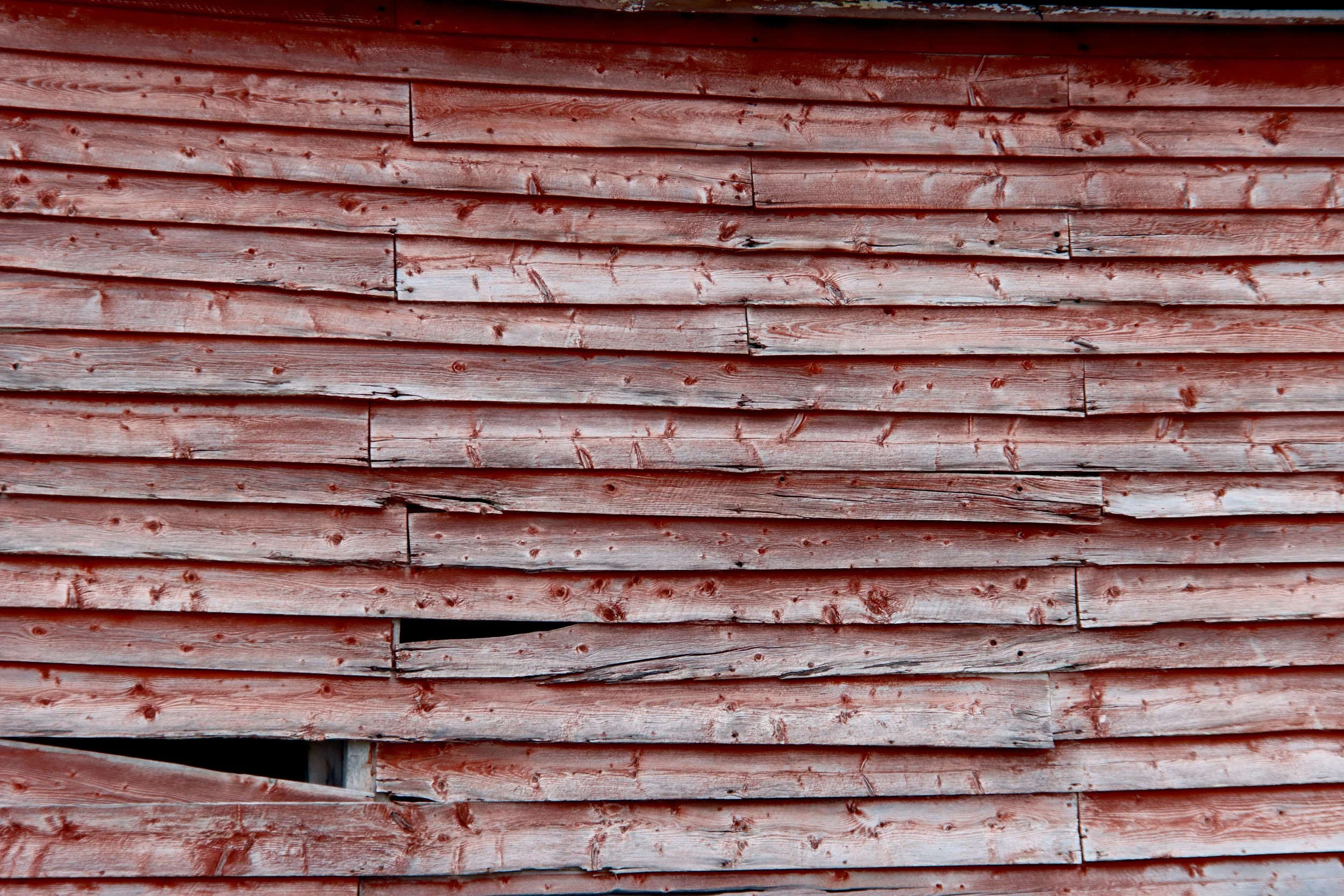 S2.E4: Tibb’s Eve and Newfoundland Christmas Slush — Product of ...