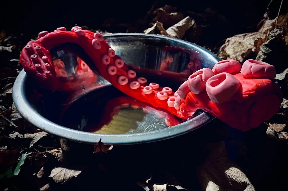 Giant Squid: Giant Feast from a Giant Beast — Product of Newfoundland