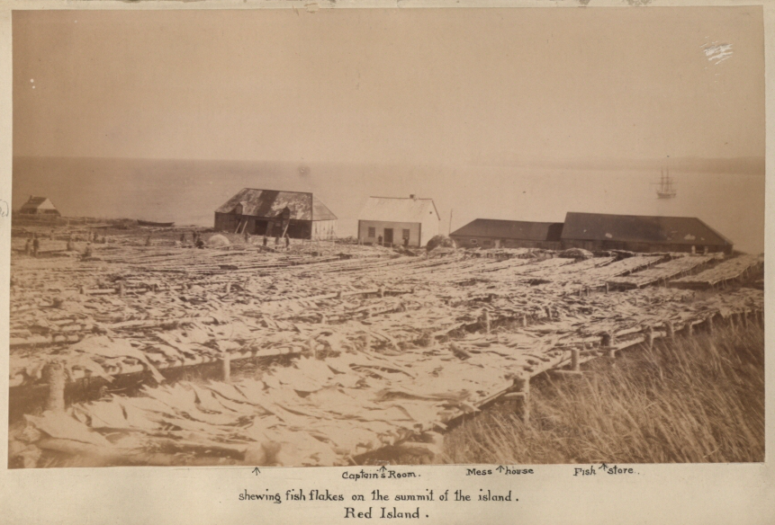 The Legend of Father Duffy’s Well — Product of Newfoundland