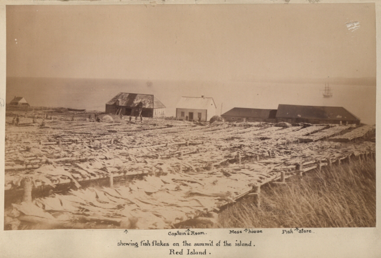 The Legend of Father Duffy’s Well — Product of Newfoundland