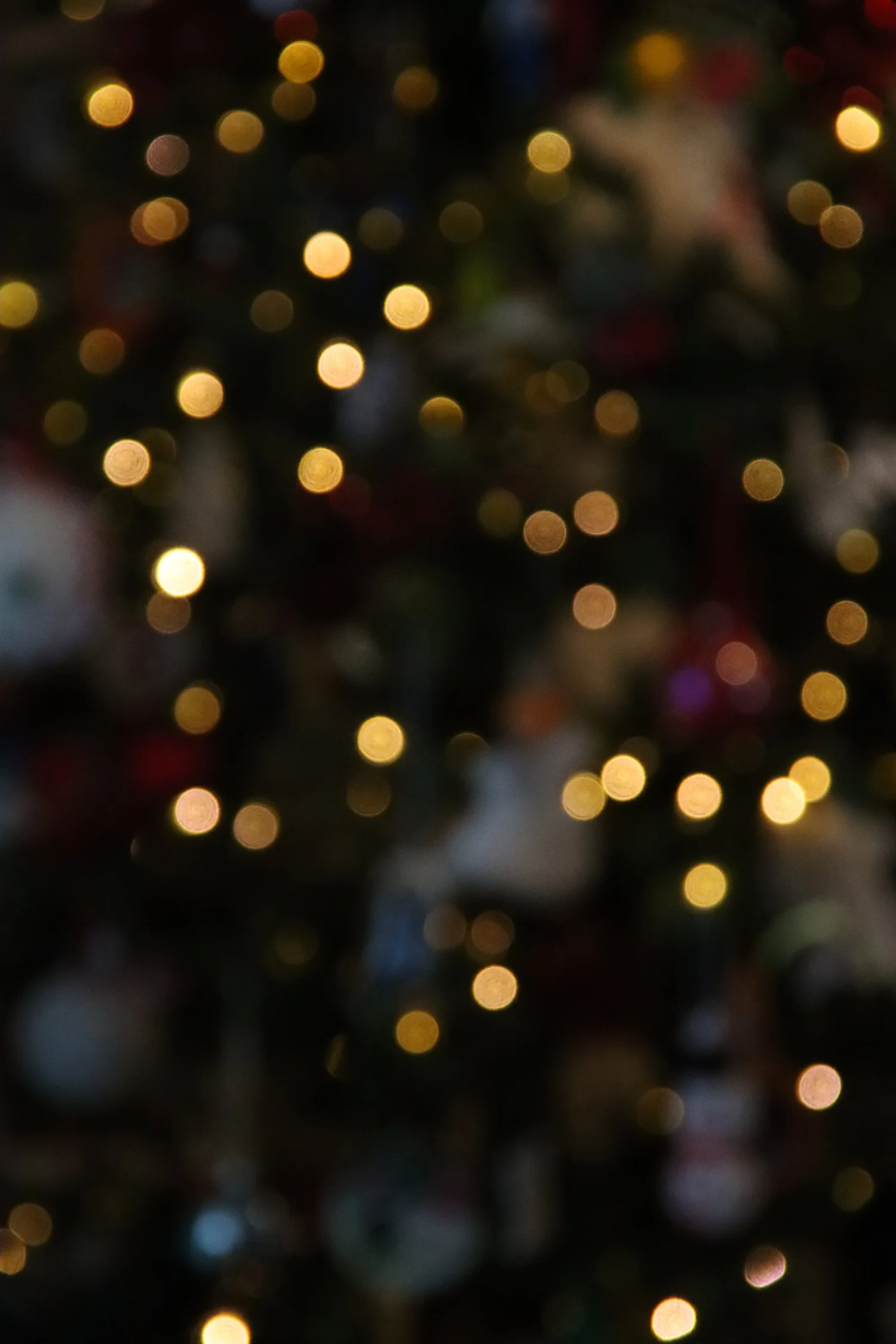 Lights! Camera! Disaster! The Viking Tragedy — Product of Newfoundland