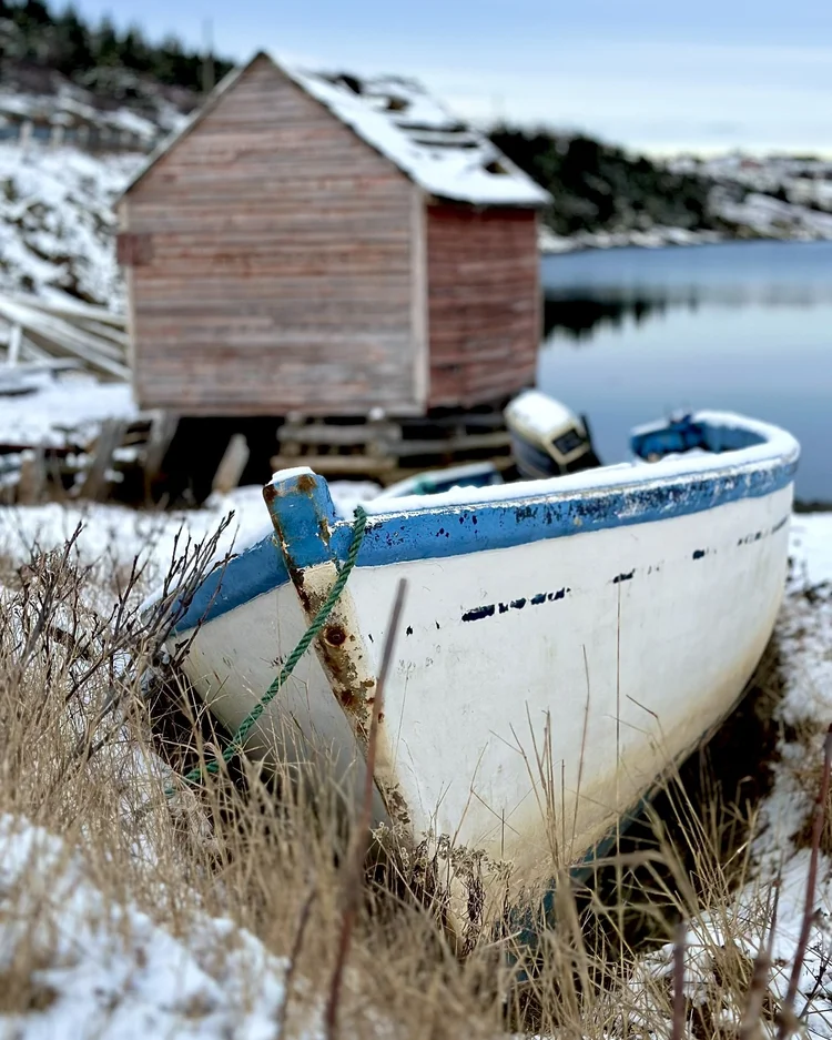 Newfoundland Photo Gallery — Product of Newfoundland