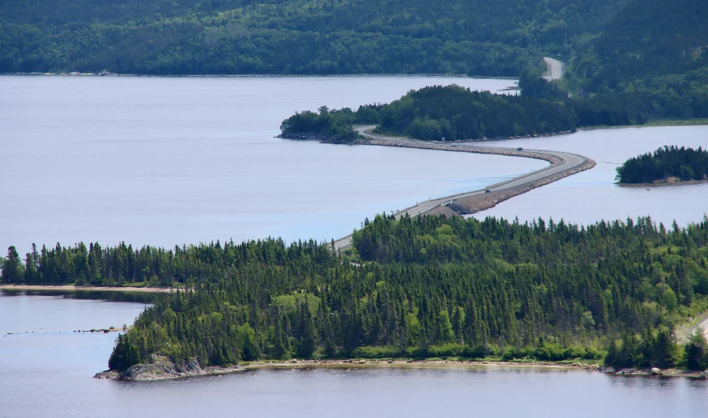 11 Fascinating Facts About Terra Nova National Park — Product of ...