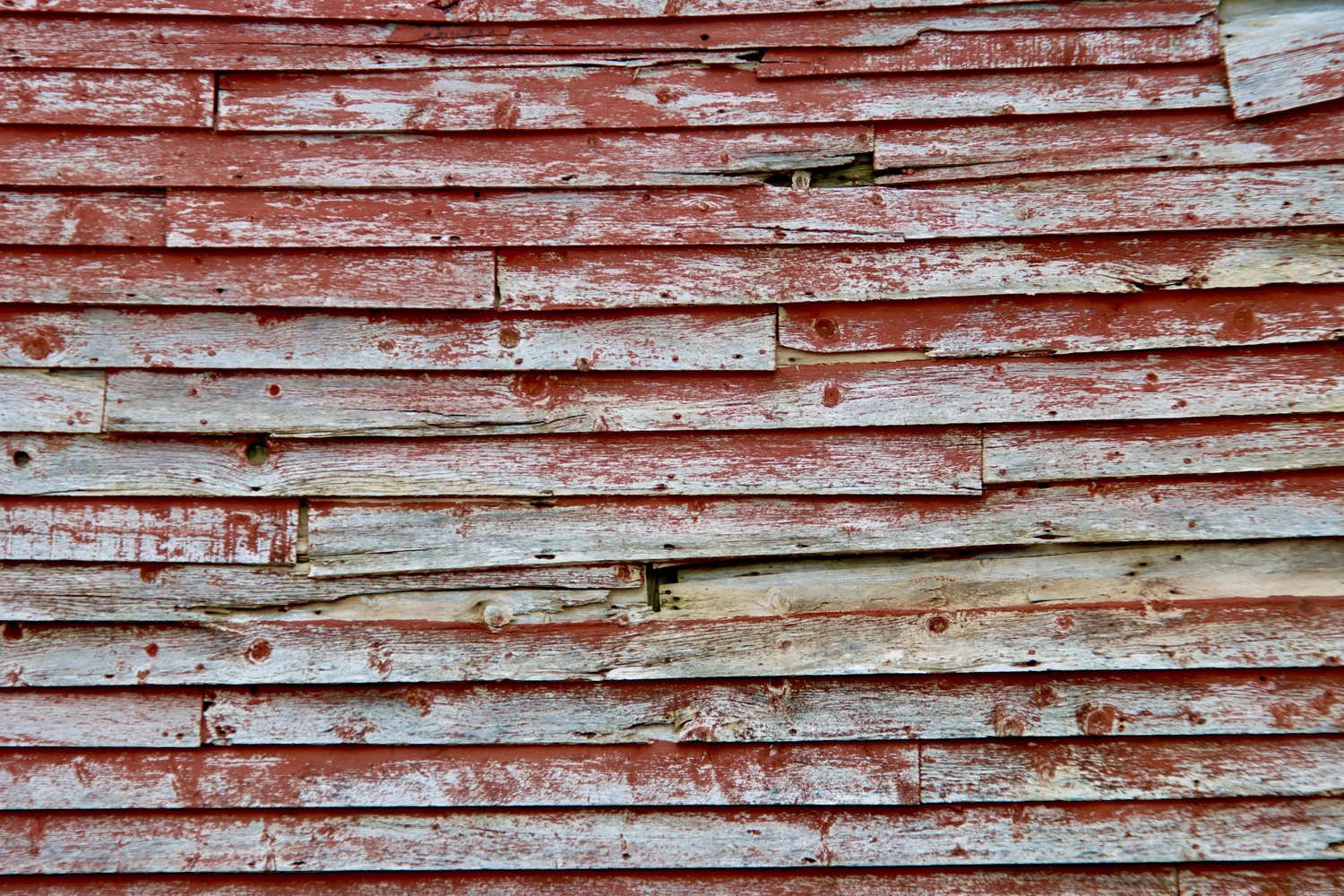 S2.E4: Tibb’s Eve and Newfoundland Christmas Slush — Product of ...