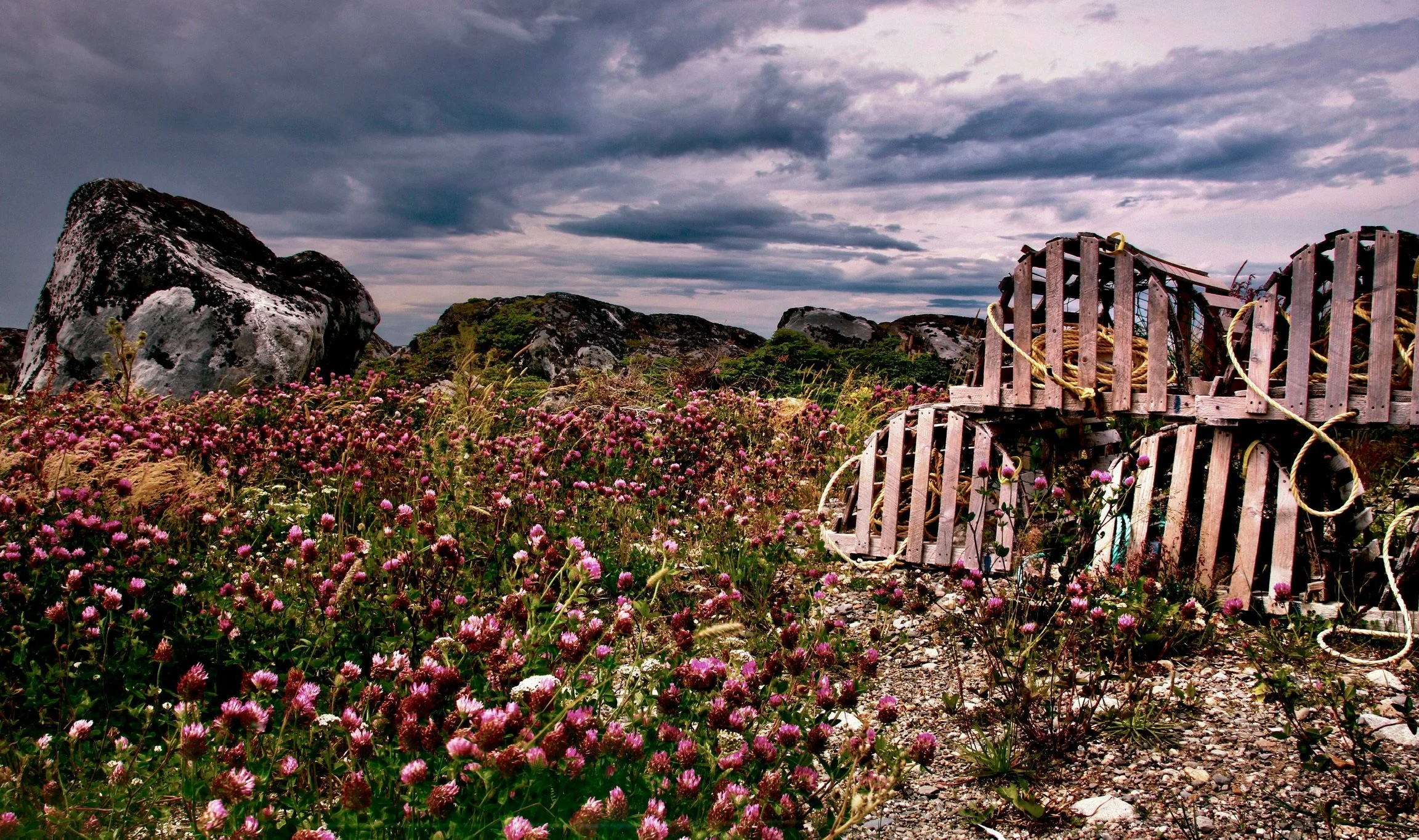 Newfoundland Photo Gallery — Product of Newfoundland