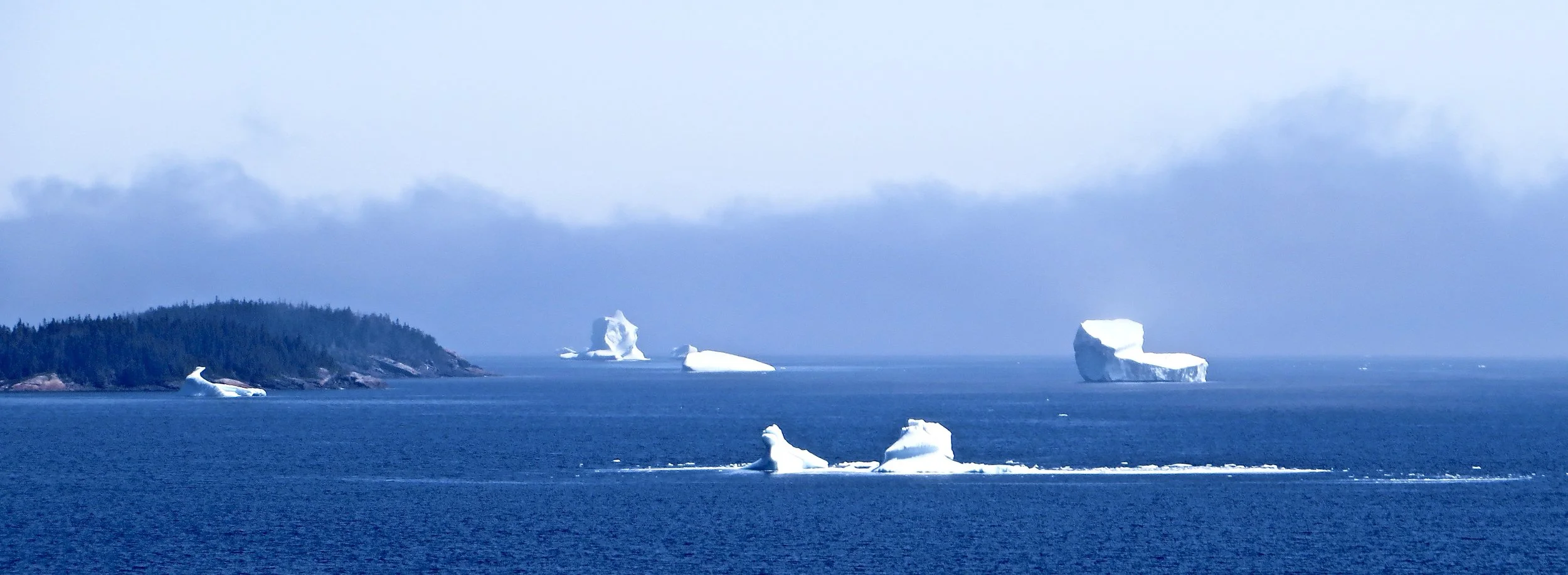 St. Brendan: The Newfoundland Navigator? — Product of Newfoundland