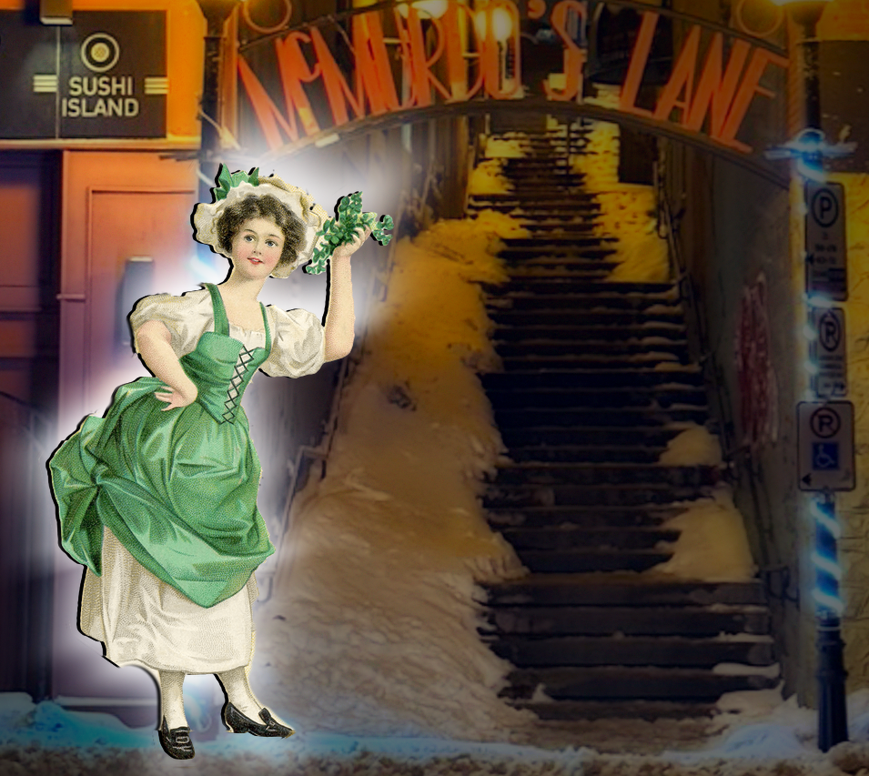 What The Heck Is Sheila’s Brush? — Product of Newfoundland