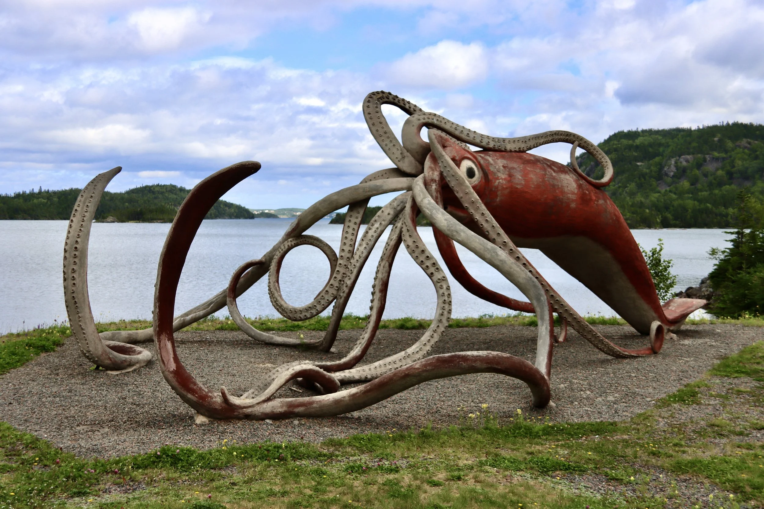 Giant Squid: Giant Feast from a Giant Beast — Product of Newfoundland