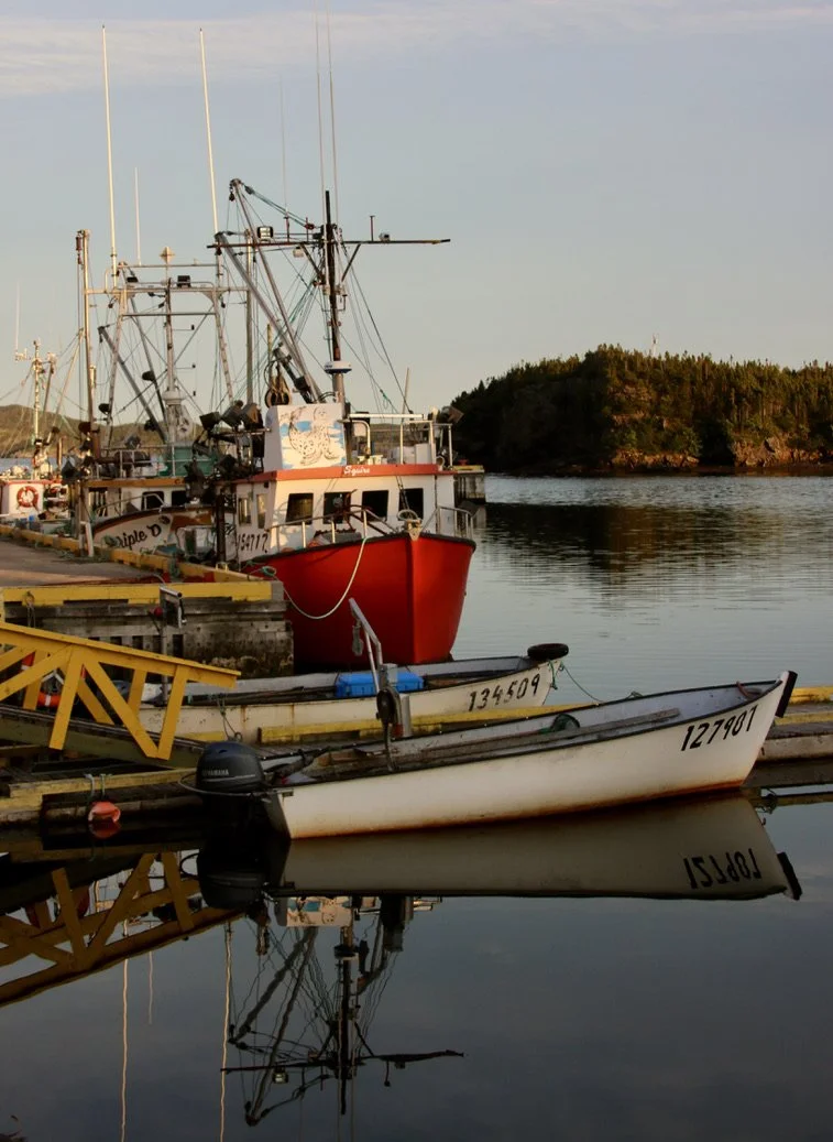 Newfoundland Photo Gallery — Product of Newfoundland