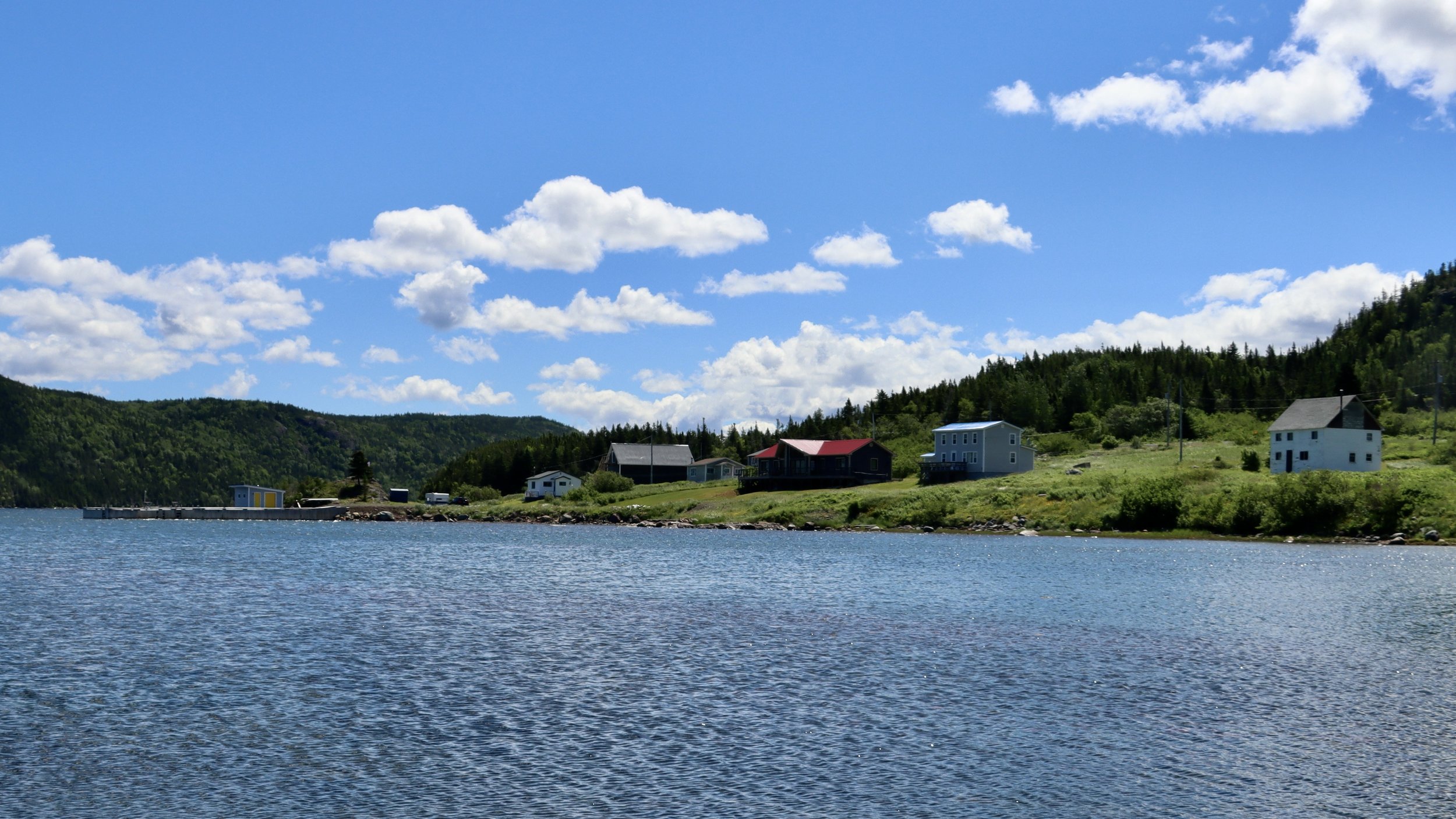 Sea Serpents and Lake Monsters of Newfoundland — Product of Newfoundland