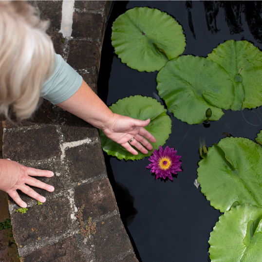 Sarah C. Albritton | Intuitive Leadership Consultant