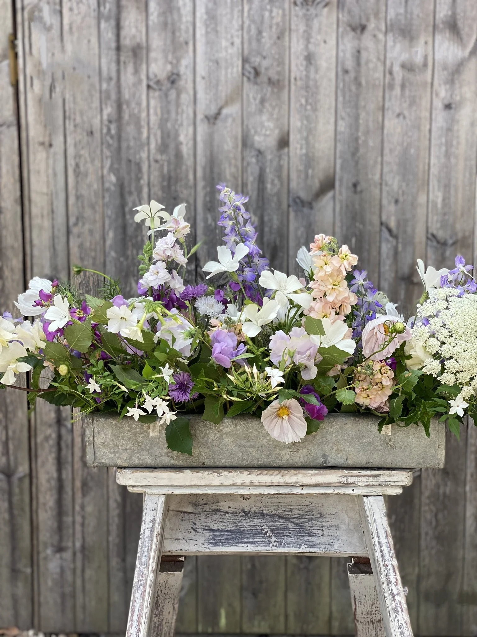 Pitt Cottage Flowers