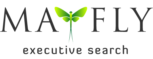 The Team — Mayfly Search Ltd