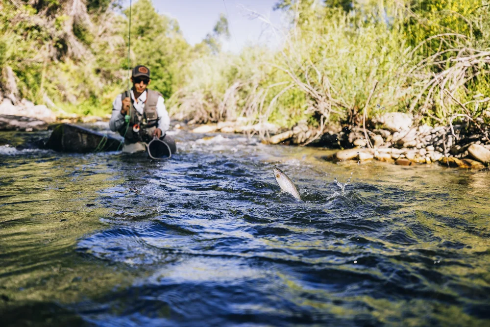 Smith Fork Ranch Activities and Attractions — All Inclusive Luxury ...