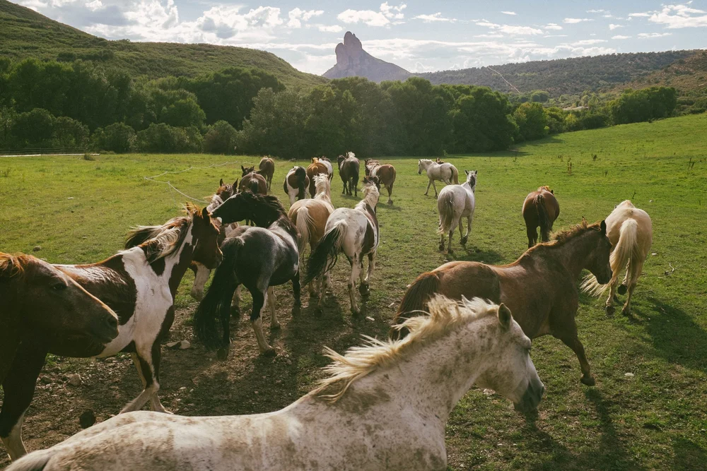 Smith Fork Ranch image gallery — All Inclusive Luxury Ranch for Groups ...