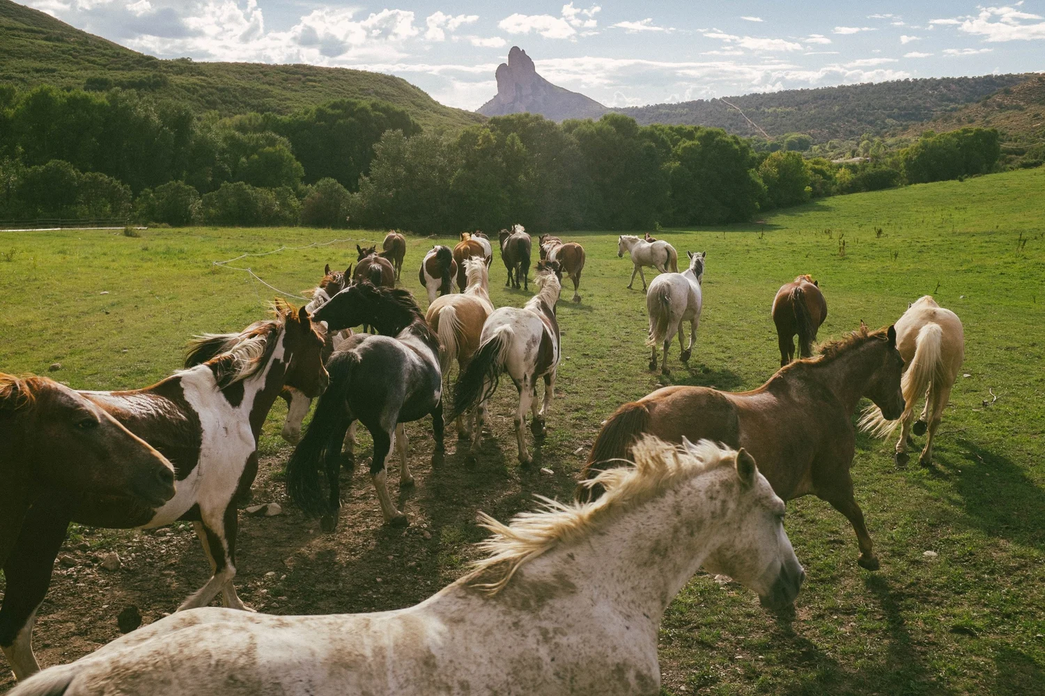 Smith Fork Ranch image gallery — All Inclusive Luxury Ranch for Groups ...