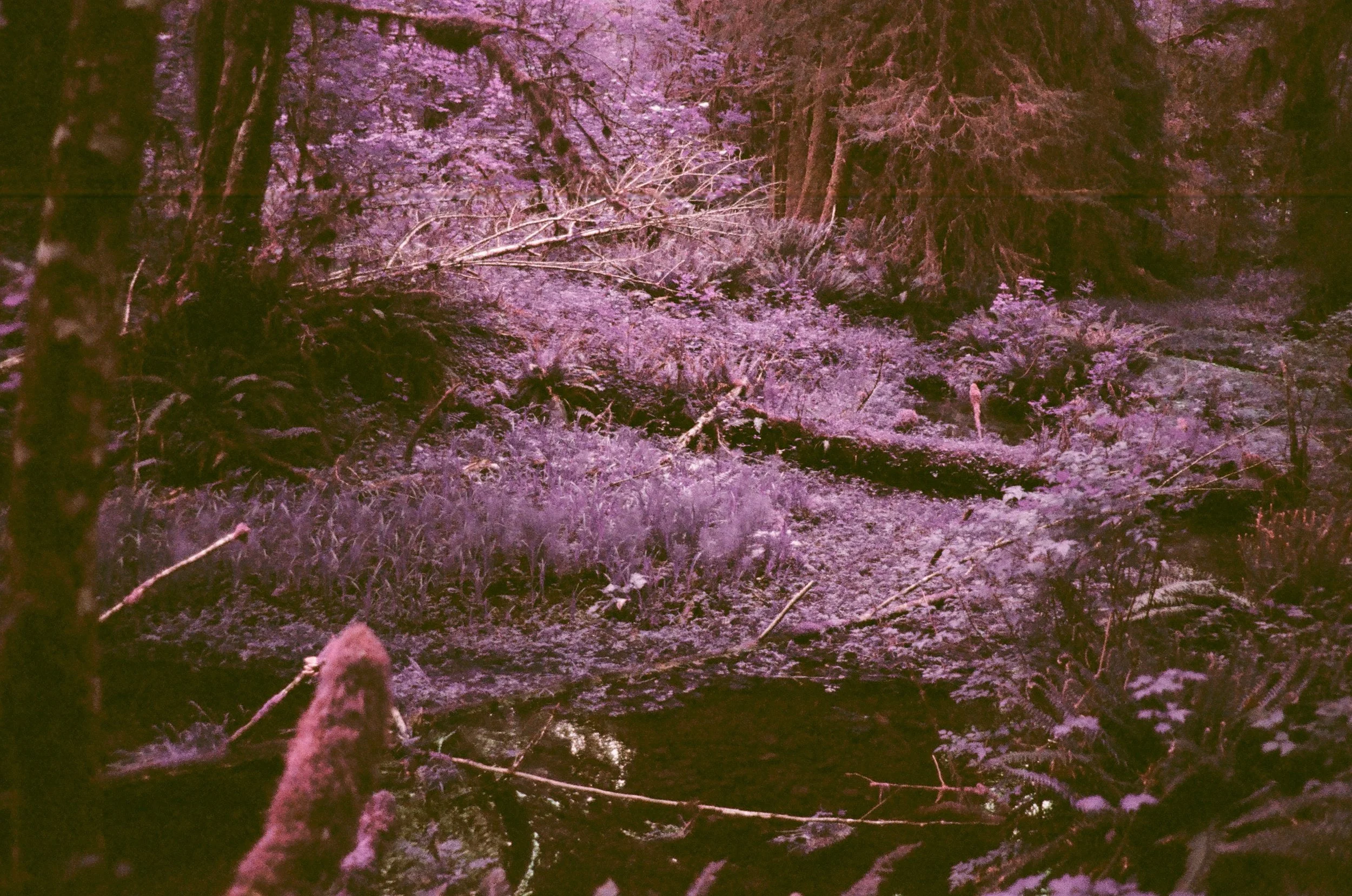 Sam Robinson | Production Design, Art Direction, + ∞