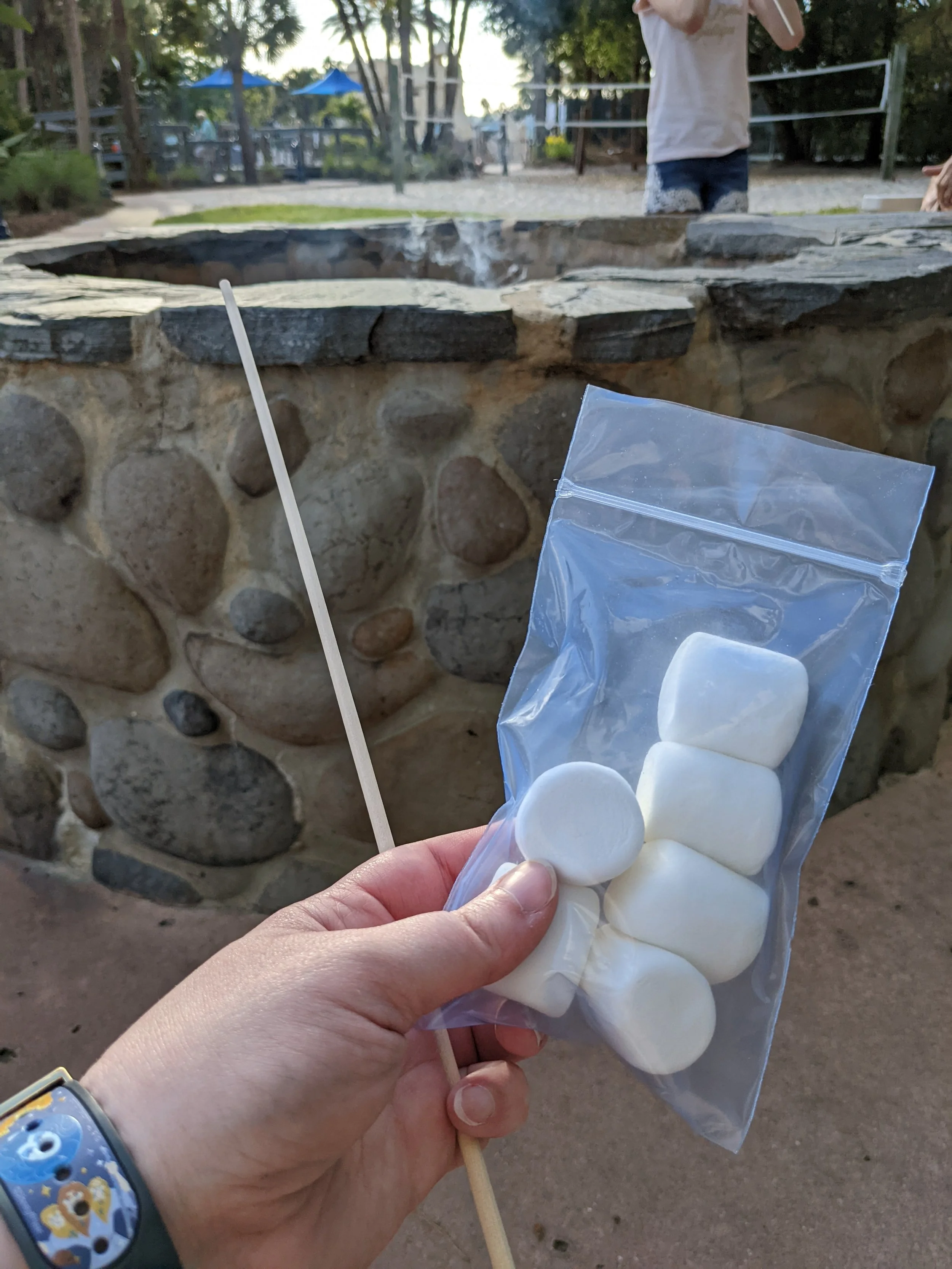 The Definitive Campfire Ranking: Comparing the Top 5 Campfires in WDW ...