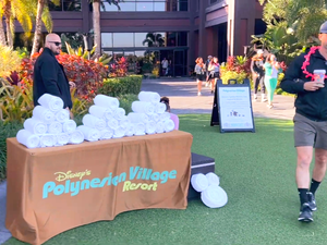 Disney Fit Yoga & Movement Classes — Magical Resort Guide