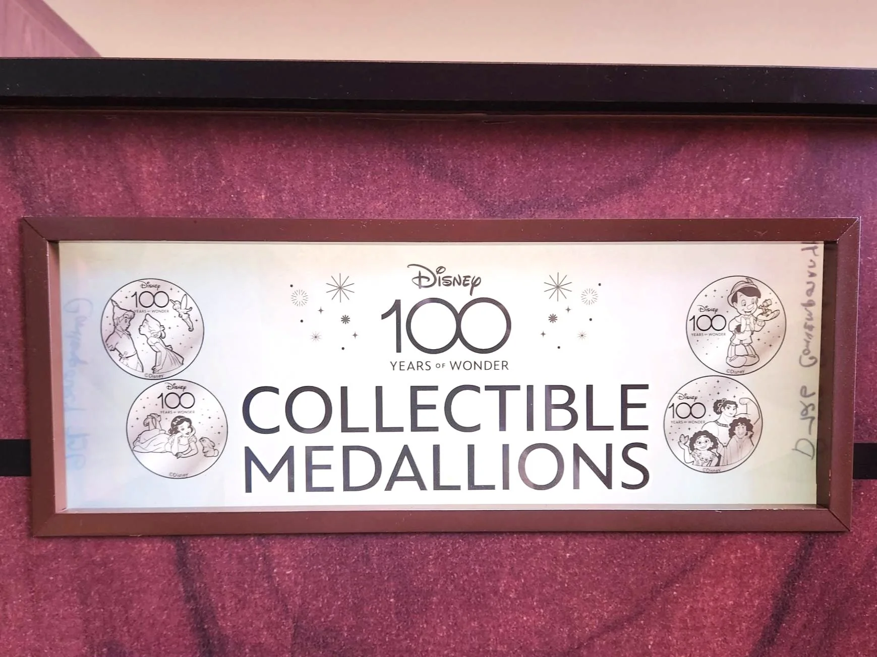 Disney's Contemporary Resort Paid Recreation Activities — Magical ...