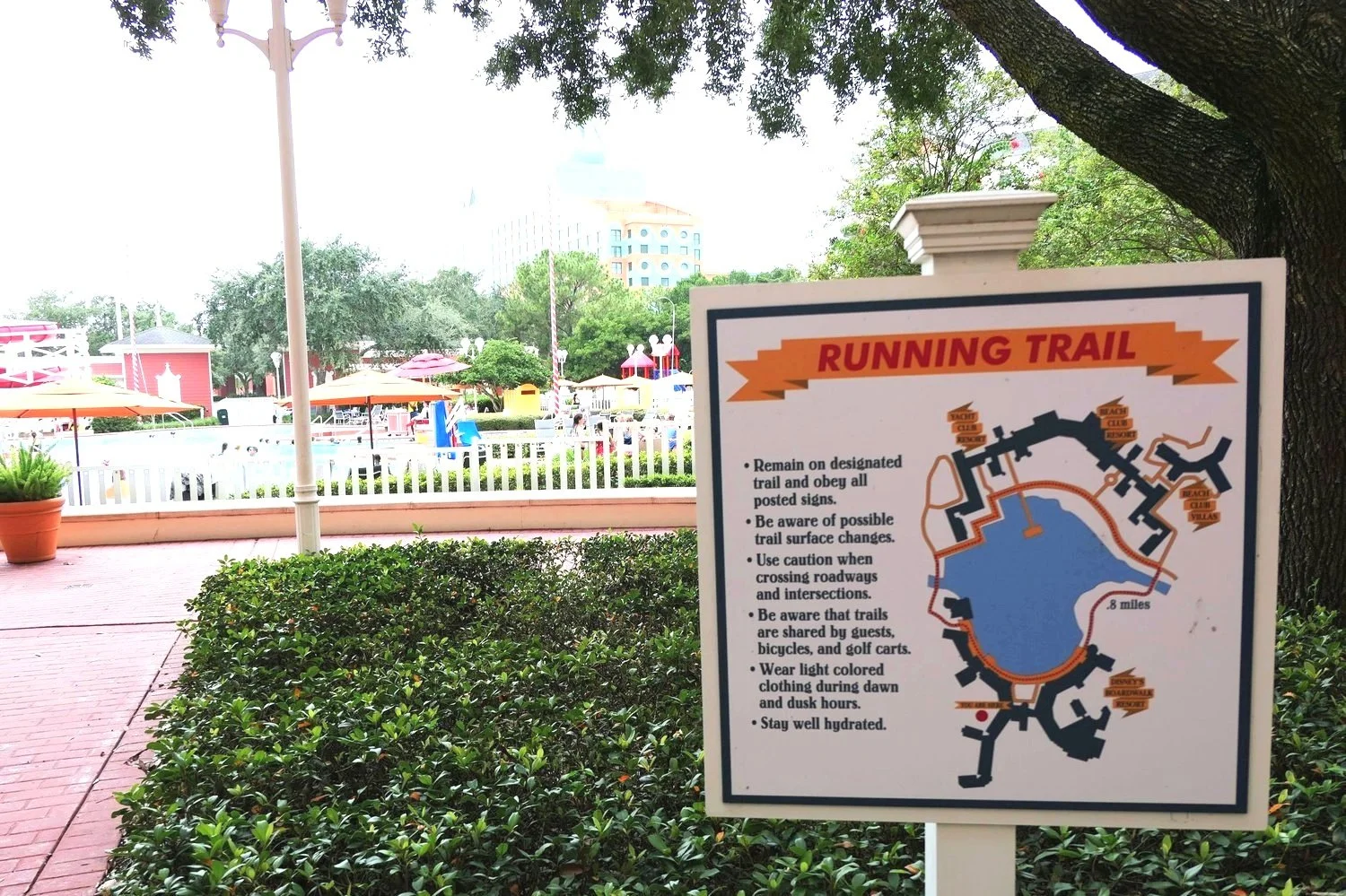 Disney's BoardWalk Inn Resort Pools & Wellness — Magical Resort Guide