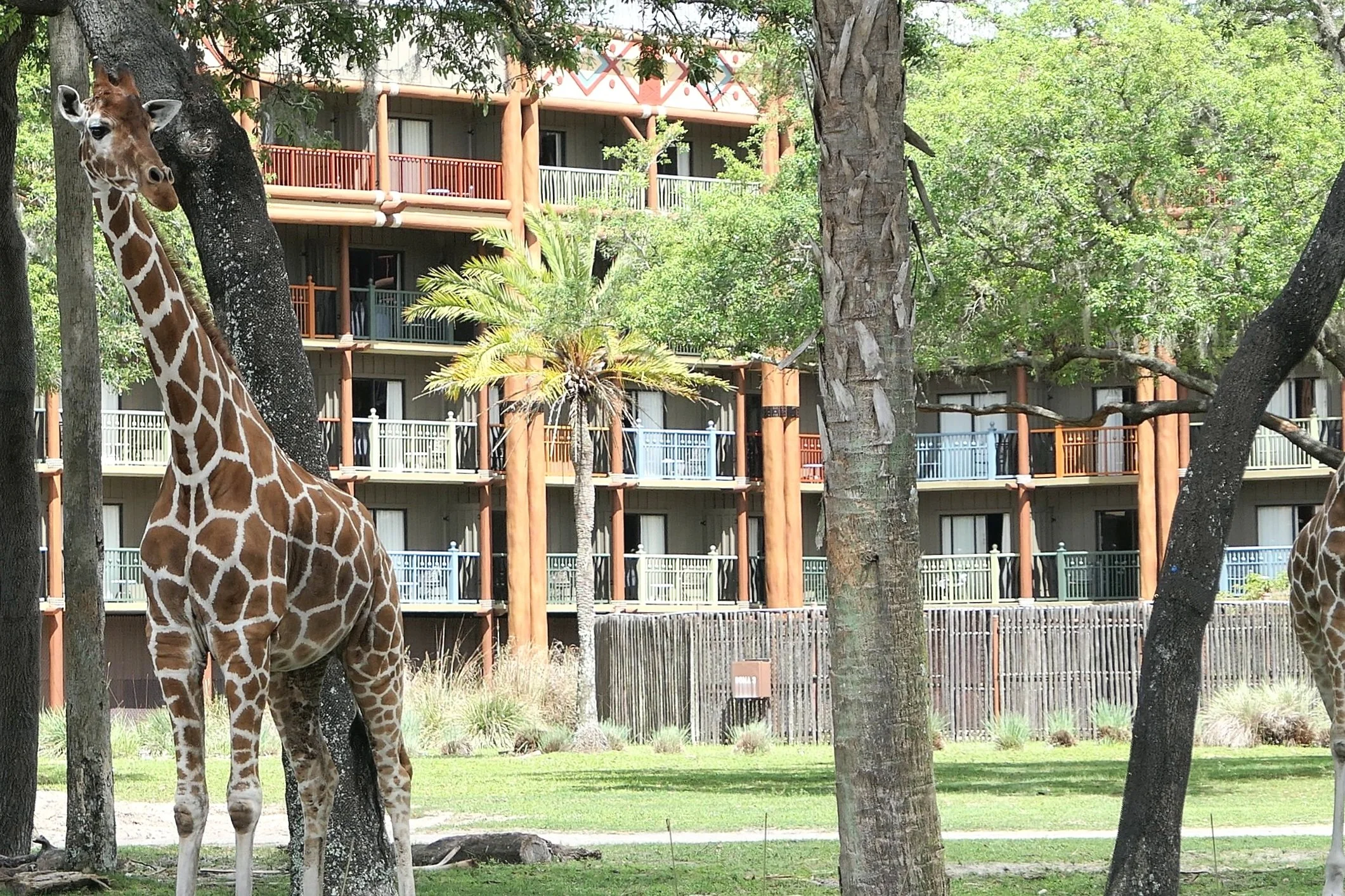 Walt Disney World Resort Activity Calendars — Magical Resort Guide