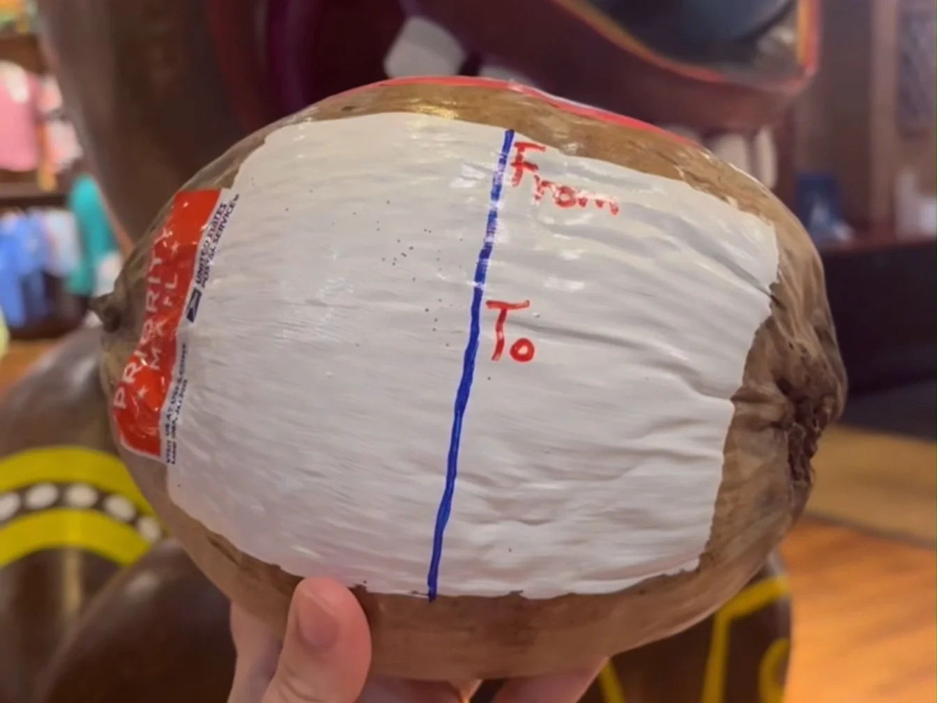 Disney's Polynesian Village Resort Paid Recreation Activities — Magical ...