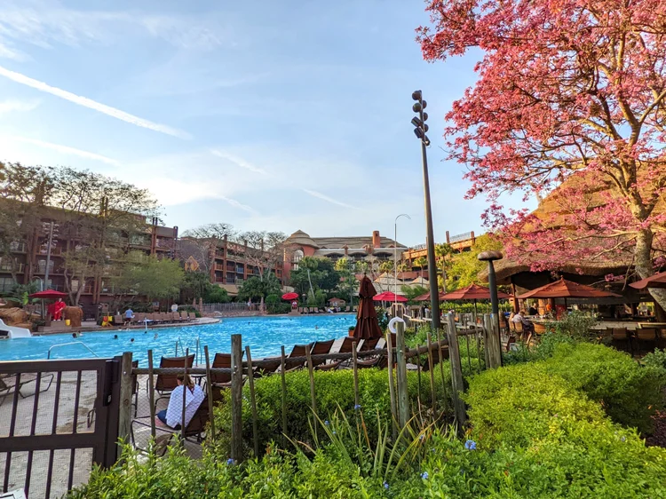 Disney's Animal Kingdom Lodge Resort Pools & Wellness — Magical Resort ...