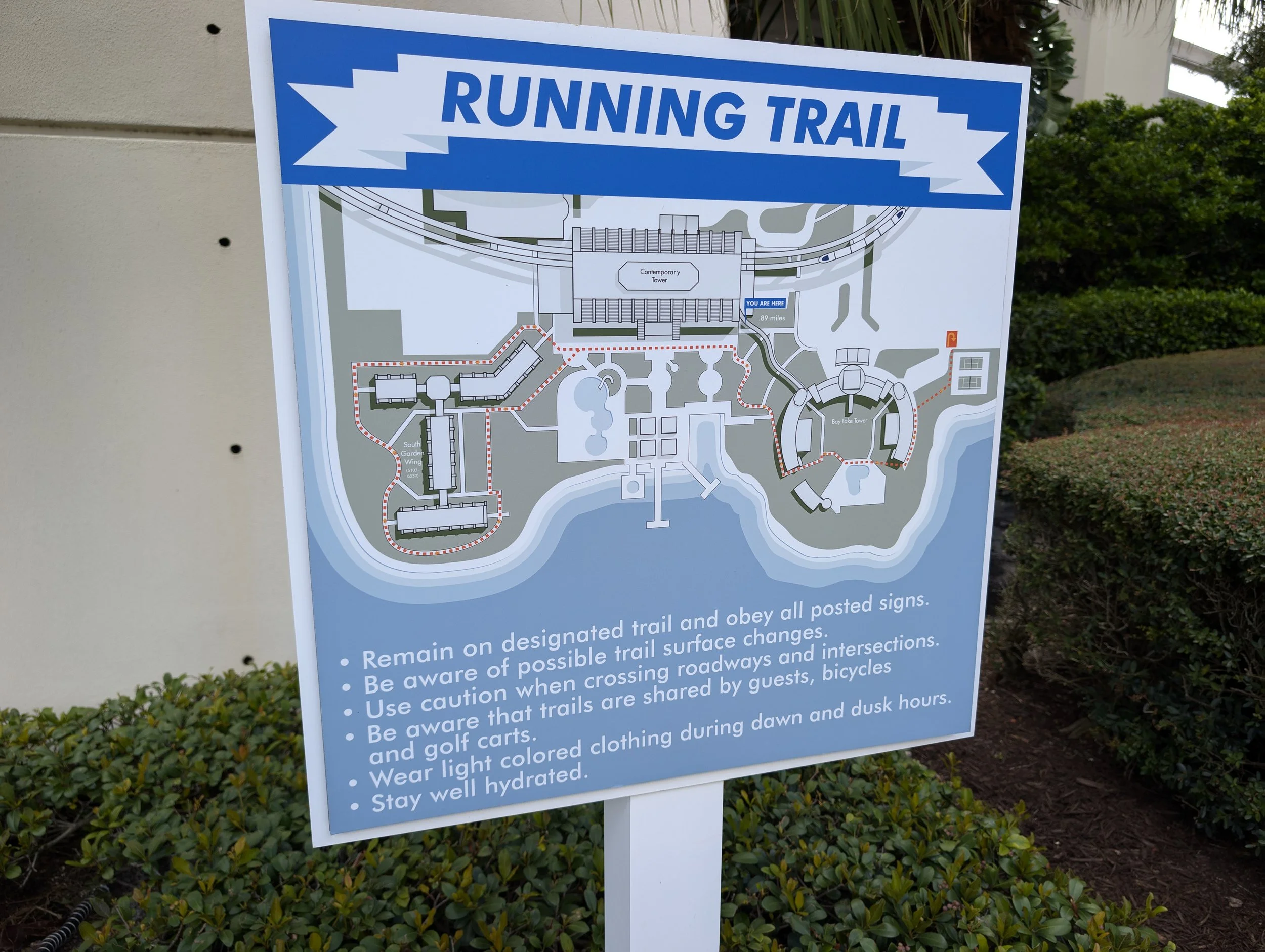 Disney's Contemporary Resort Pools & Wellness — Magical Resort Guide
