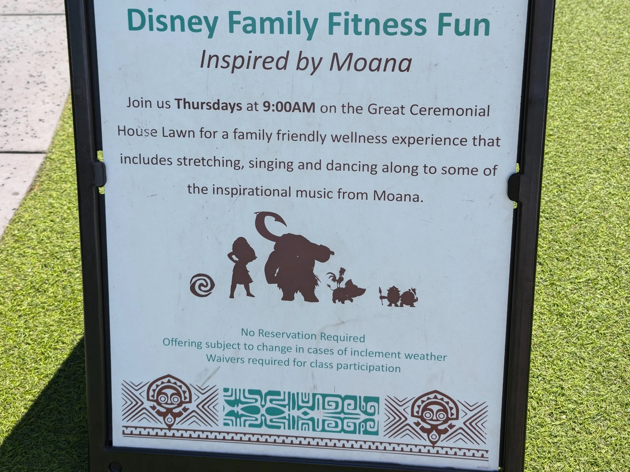 Disney Fit Yoga & Movement Classes — Magical Resort Guide