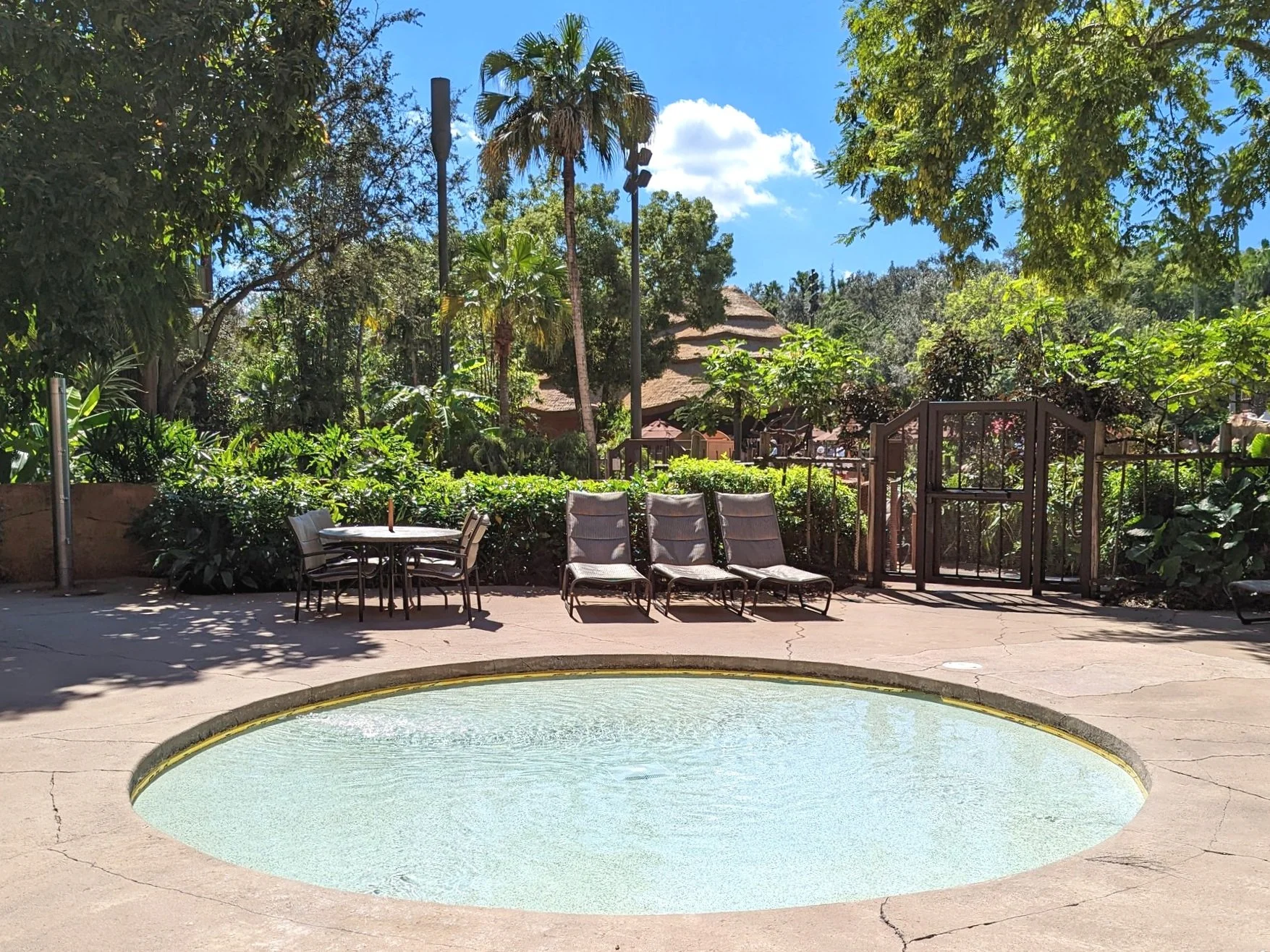 Disney's Animal Kingdom Lodge Resort Pools & Wellness — Magical Resort ...