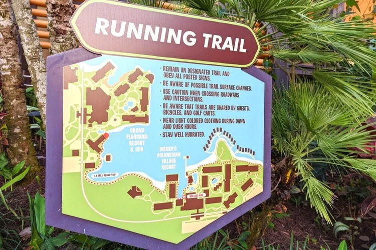 Disney's Polynesian Village Resort Pools & Wellness — Magical Resort Guide