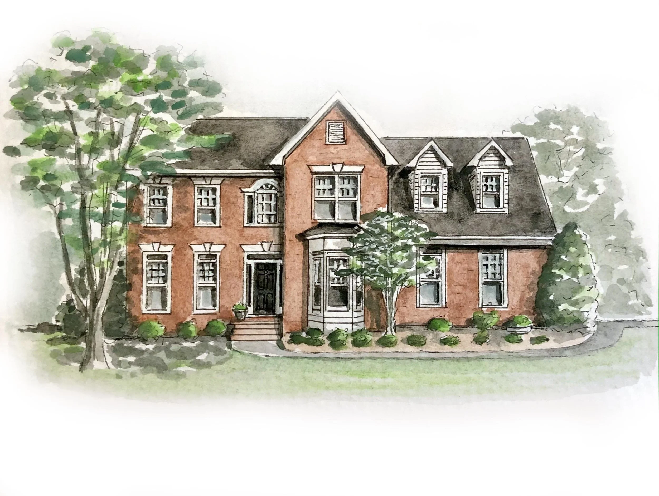 Watercolor Artist Jaime Cain