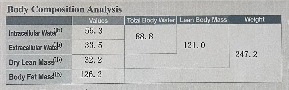 body composition and body fat percentage — Lifestyle Health and Wellness